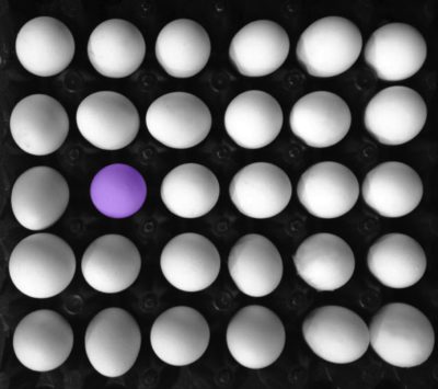 The Point of Difference: How to Stand Out from Competitors - FOOD BIZ BLOG